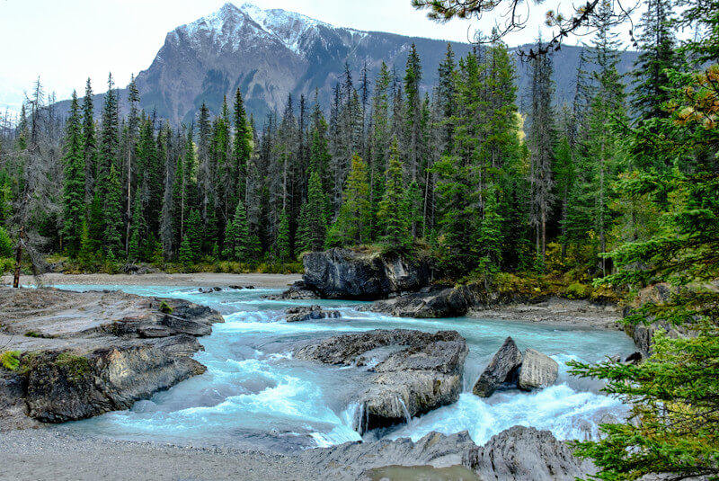 Madelene Anderson - Green Valley - Wardley Real Estate