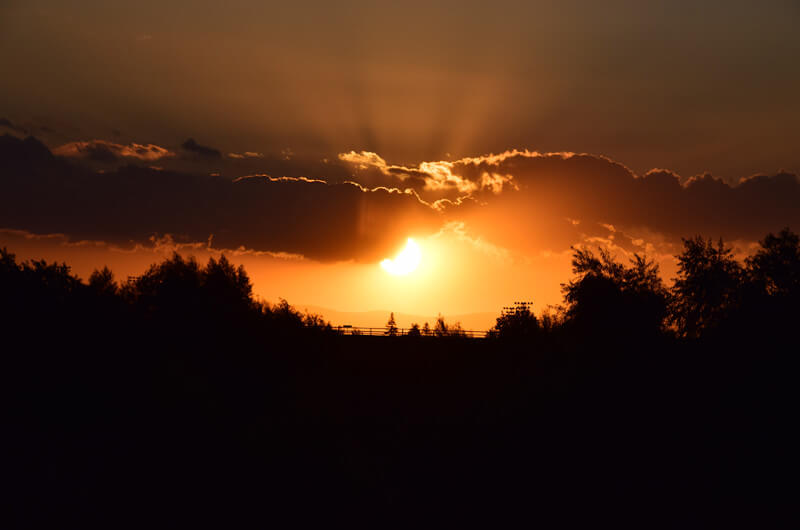 Madelene Anderson - Green Valley - Wardley Real Estate